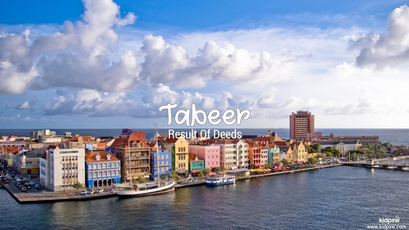 Tabeer Logo